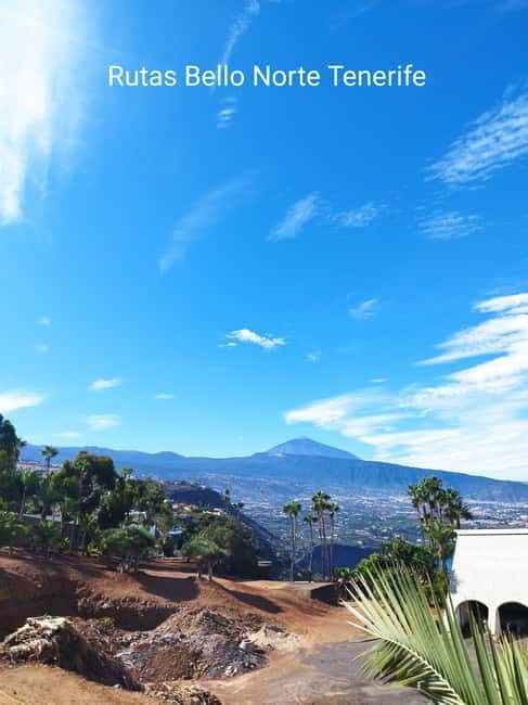 Guided walking tour in La Orotava,Tenerife - Authentic Experience and Cultural Insights