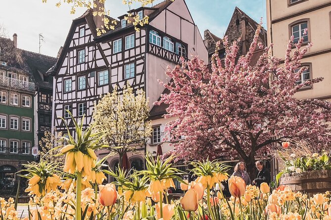 Guided Walking Tour in Strasbourg between History and Curiosities - Who Will Love This Tour?