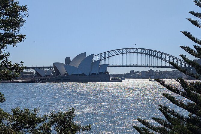 Guided Walking Tour in Sydney City with Lunch - Key Points