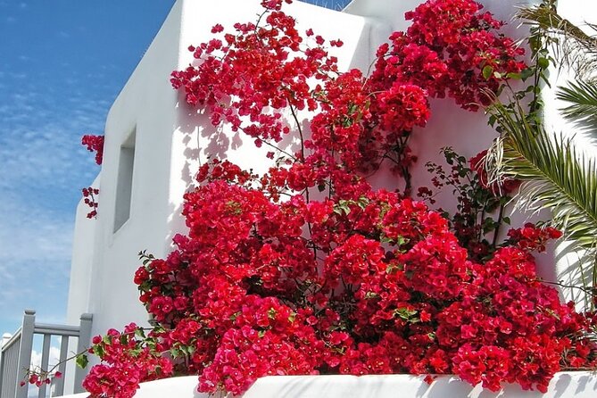 Guided Walking Tour Mykonos, Little Venice, Windmills, Beaches - Price and Value Analysis