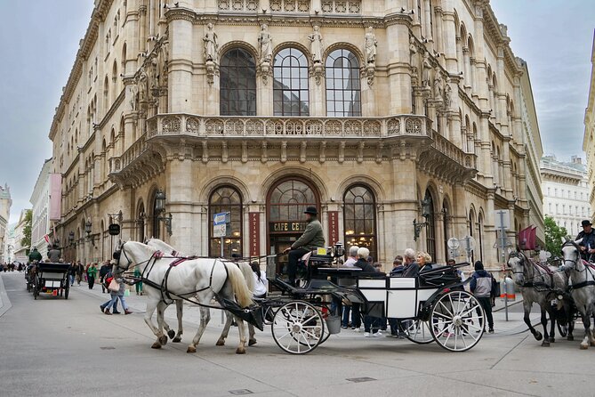 Guided Walking Tour of Vienna City Center Highlights - Visiting Michaelerplatz and the Hofburg Palace