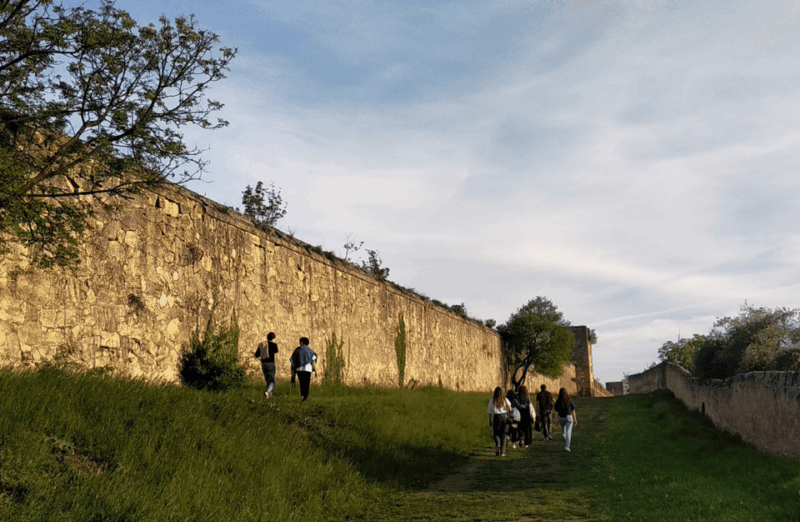 Guided Walking Tour on Verona Hillside - Key Points