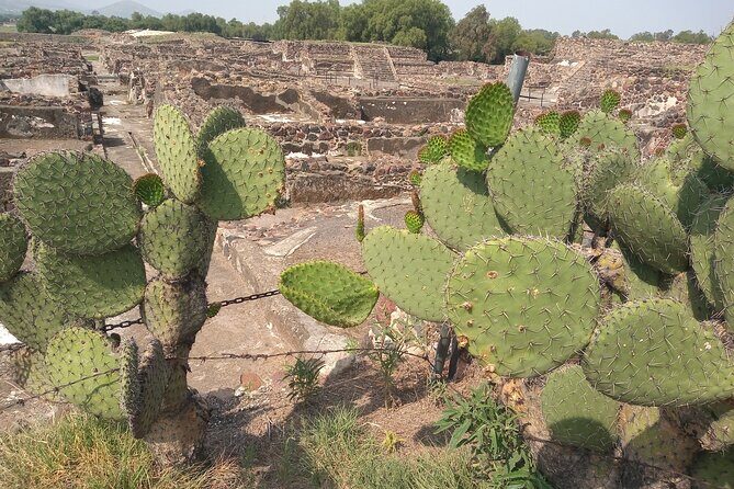 Guided Walking Tour to the Archaeological Zone of Teotihuacán - Value and Practical Details