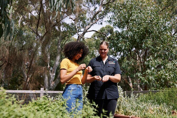 Guided Warriparinga Cultural and Historical Tour - Practical Details & Value