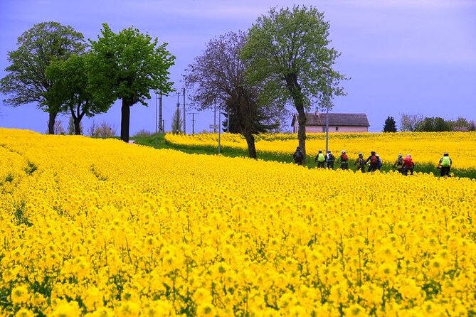 Guided week Bike Tour in France, Burgundy wine region - Who Should Consider This Tour?
