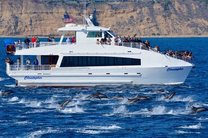 Guided Whale Watching Tour from Long Beach - FAQ: Practical Questions about the Long Beach Whale Watching Tour