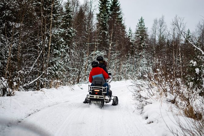 Guided Wilderness Snowmobile Safari in Rovaniemi & Barbeque - Key Points