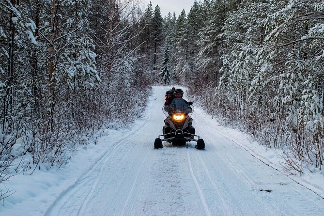 Guided Wilderness Snowmobile Safari in Rovaniemi & Barbeque - Gearing Up for the Adventure
