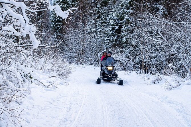 Guided Wilderness Snowmobile Safari in Rovaniemi & Barbeque - Feedback and Ratings From Travelers