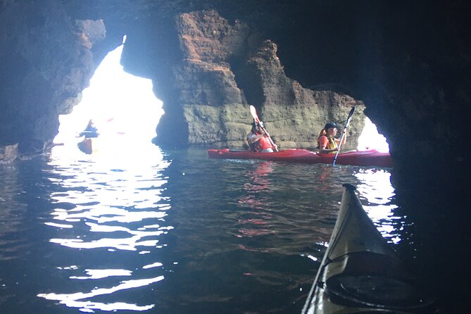 Guided Wildlife and Sea Cave Kayak Safari in English Riviera - Meeting Point and Duration
