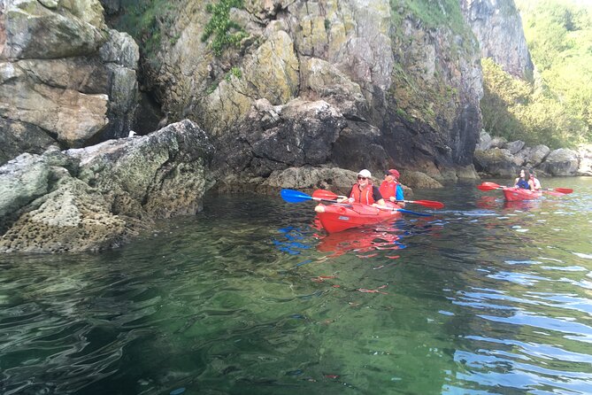 Guided Wildlife and Sea Cave Kayak Safari in English Riviera - Capacity and Pricing