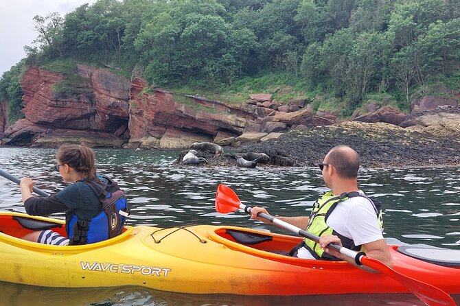 Guided Wildlife and Sea Cave Kayak Safari in English Riviera - Included Amenities