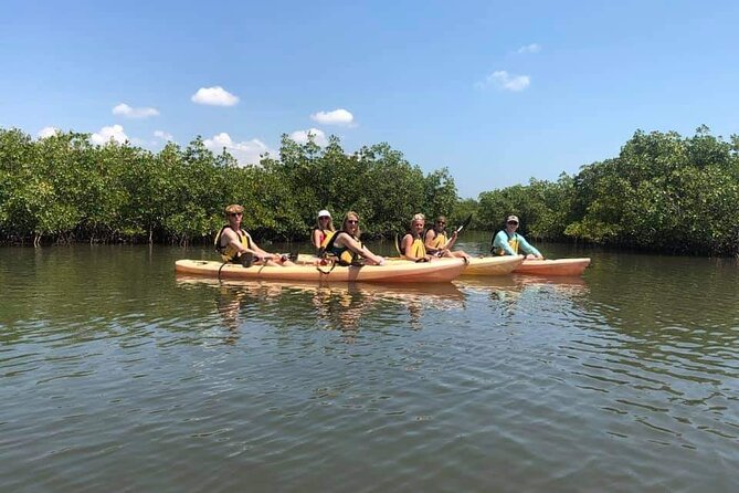 Guided Wildlife Eco Kayak Tour in New Smyrna Beach - Health and Accessibility Considerations
