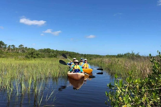 Guided Wildlife Eco Kayak Tour in New Smyrna Beach - Pricing and Booking Information