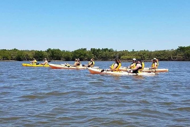 Guided Wildlife Eco Kayak Tour in New Smyrna Beach - Customer Experiences and Feedback