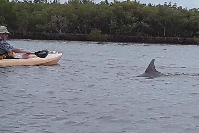 Guided Wildlife Eco Kayak Tour in New Smyrna Beach - Tips for an Enjoyable Kayaking Adventure