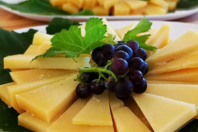 Guided Wine and Olive Oil Tasting - Guest Reviews and Experiences