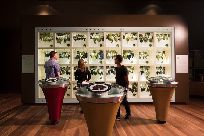Guided Wine Journey and Discovery Tasting Tour in Adelaide - Key Points