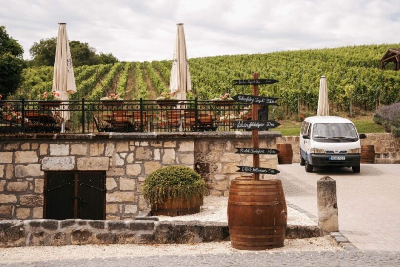 Guided wine tasting at Rókusfalvy Estate - Final thoughts