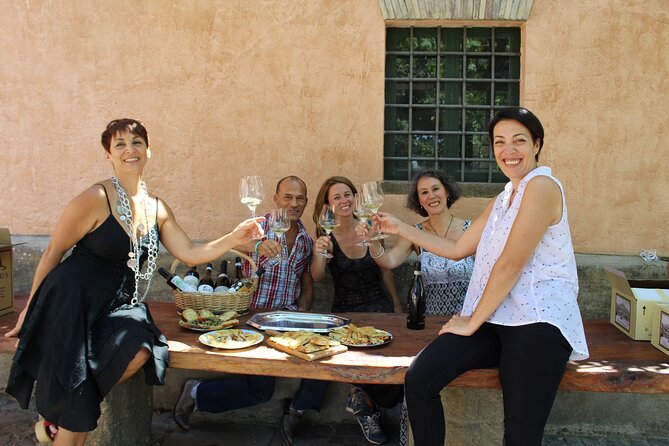 Guided Wine Tasting Experience in a Roman Vineyard - Scenic Vineyard Tour