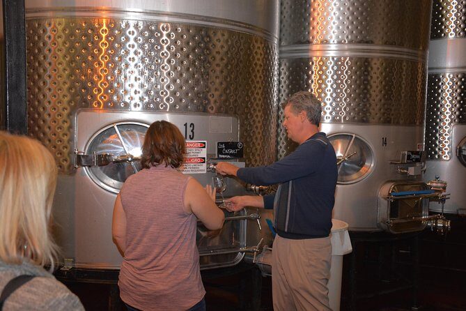 Guided Wine Tasting Tour of Temecula - What Guests Say About Their Experience