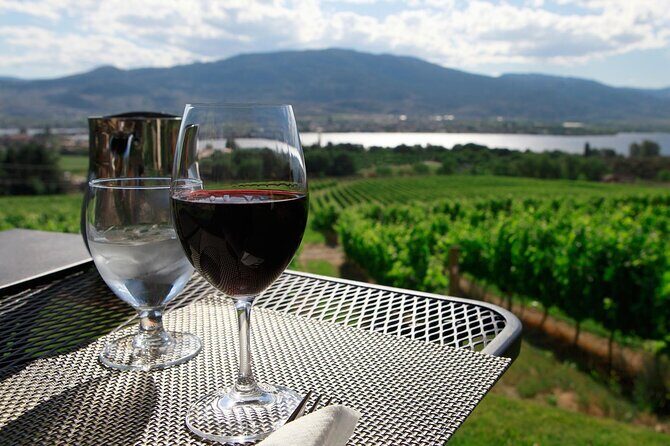 Guided Wine Tour through the Niagara Wine Trail - Who Should Consider This Tour?