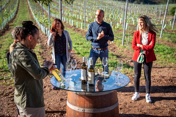 Guided Winery tour and Wine tasting in Pontevedra - Discovering Galicia’s Hidden Gem: A Guided Winery Tour in Pontevedra