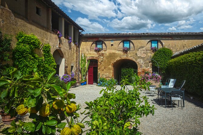 Guided Winery Tour and Wine Tasting in Siena - Overview of the Guided Winery Tour