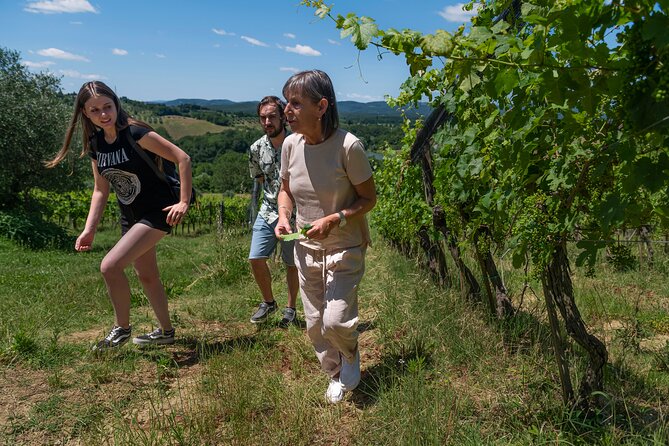 Guided Winery Tour and Wine Tasting in Siena - Sensorial Wine Tasting Experience