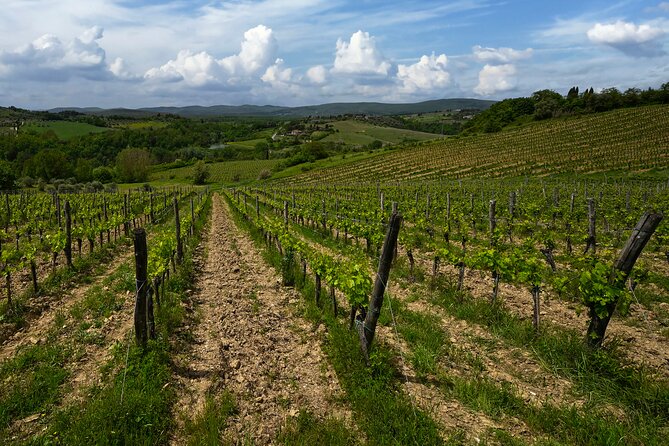 Guided Winery Tour and Wine Tasting in Siena - Inclusions and Meeting Details