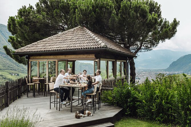 Guided Winery Tour With Tasting in Bolzano at the SKYWINE PAVILLON - Accessibility and Participation