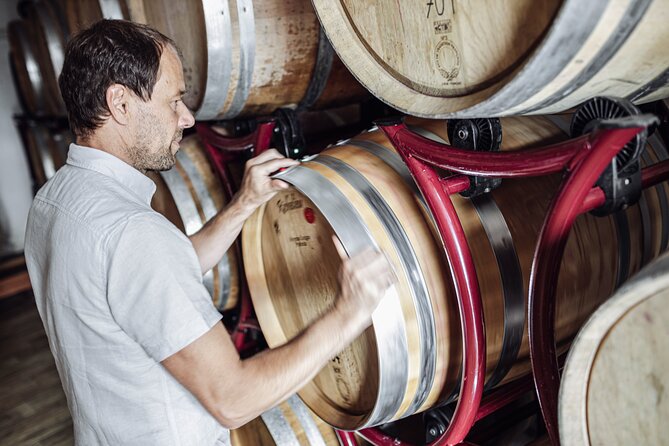 Guided Winery Tour With Tasting in Bolzano at the SKYWINE PAVILLON - Guest Reviews and Host Response