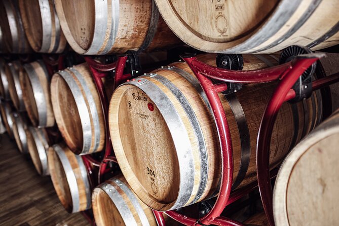 Guided Winery Tour With Tasting in Bolzano at the SKYWINE PAVILLON - Nearby Attractions and Activities