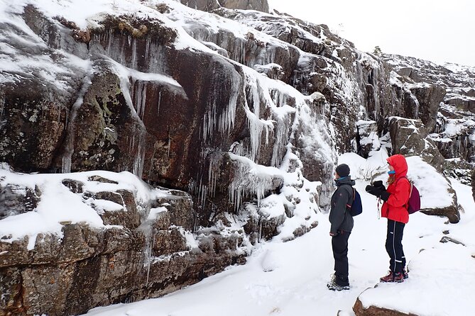 Guided Winter Hike to Pulpit Rock Preikestolen - Overview of Included Amenities and Services