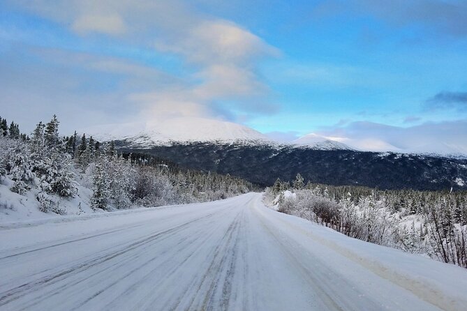 Guided Winter Wonderland Tour to Canada - Who Should Consider This Tour?