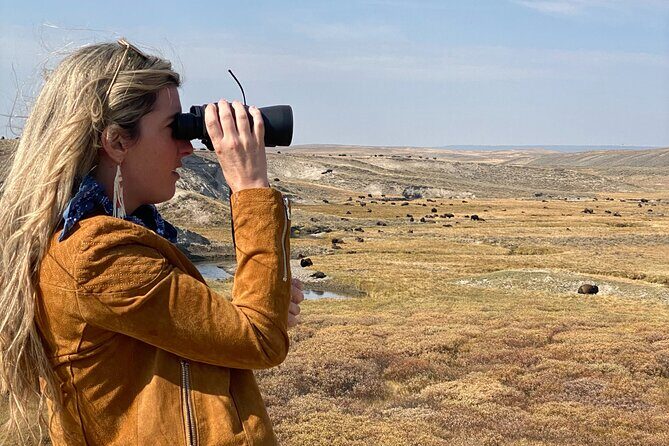 Guided Yellowstone National Park Trip - Who Should Consider This Tour?