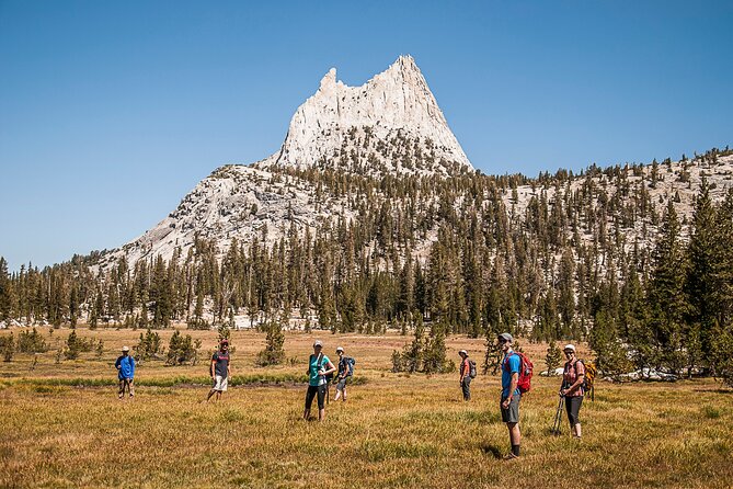 Guided Yosemite Hiking Excursion - Traveler Reviews and Insights