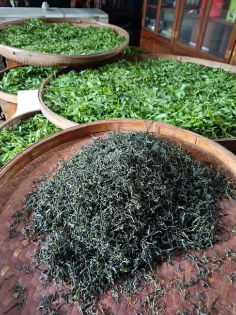 Guilin: City Tour with Elephant Hill & Ming Tea Tasting - Key Points