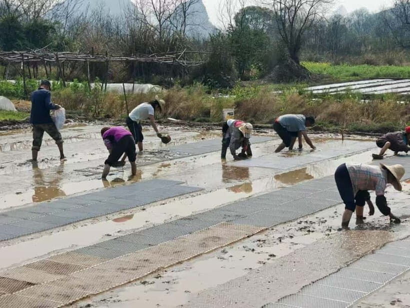 Guilin: Countryside Cycling 1-day Tour with Cooking Class - Practical Details & Tips