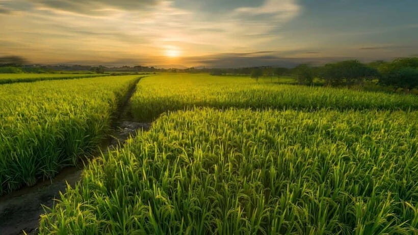 Guilin: Huixian Wetland Boat Ride & Glass Fields Tour - Key Points
