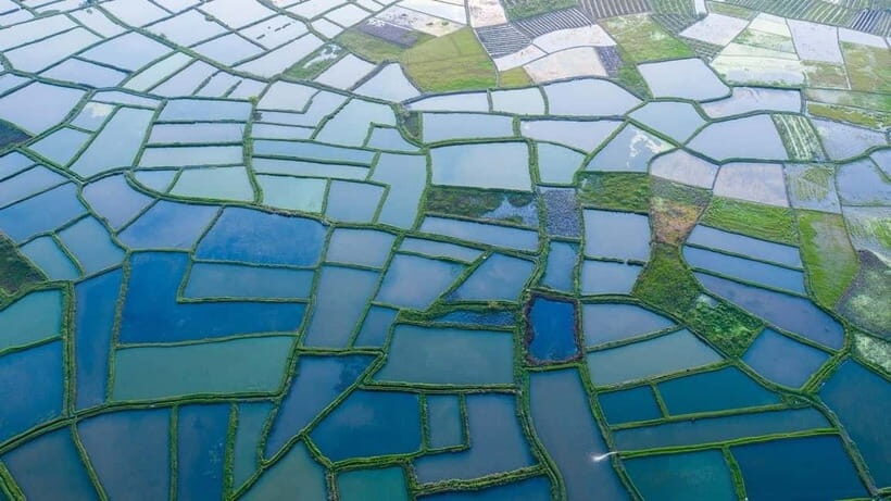 Guilin: Huixian Wetland Boat Ride & Glass Fields Tour - Exploring Guilin’s Hidden Corners: A Detailed Review