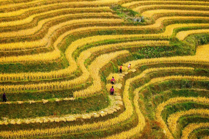 Guilin: Longji Rice Terraces and Villages Private Day Tour - Why This Tour Offers Good Value