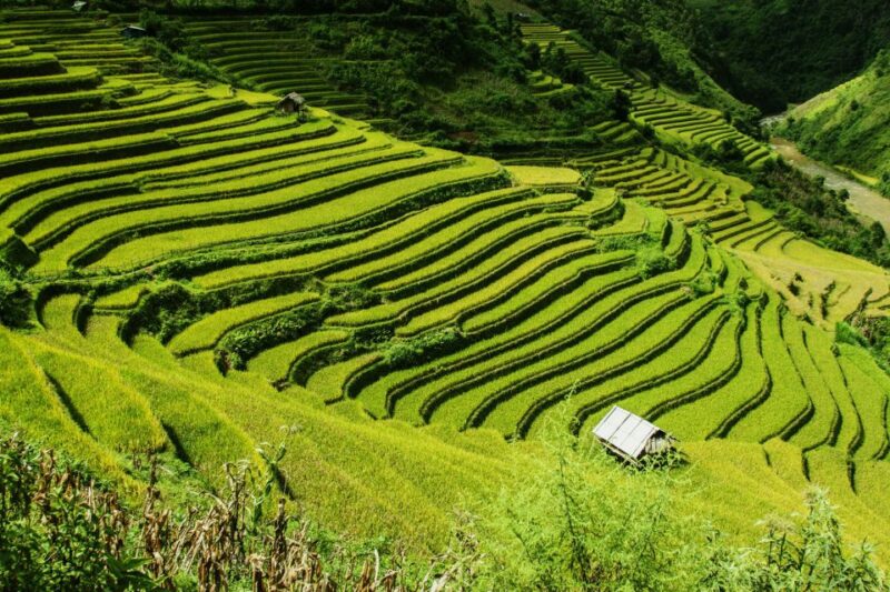 Guilin Longji Terraces Private Day Tour - Key Points