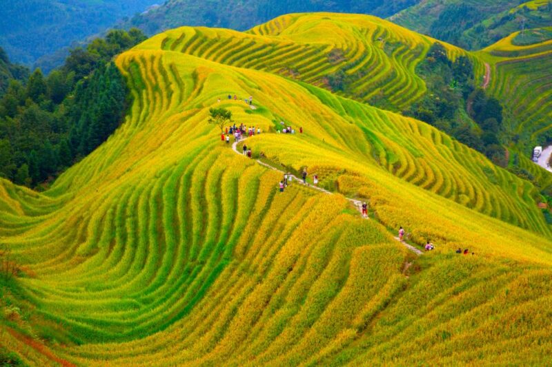 Guilin Longji Terraces Private Day Tour - Authenticity and Practical Tips