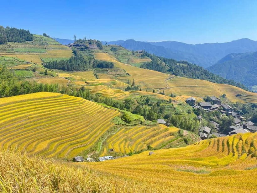 Guilin-Nanning: 8-Day Li River, Rice Terraces & Detian Falls - Who Will Love This Tour?