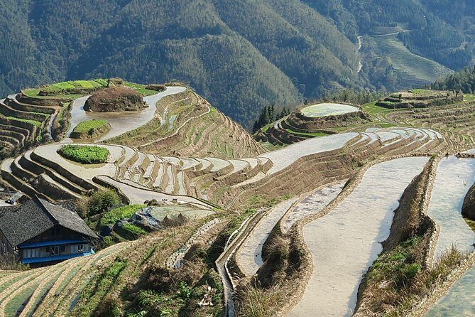 Guilin Tea plantation and Longji Rice Terraces Day Tour from Guilin hotel - Transportation and Timing