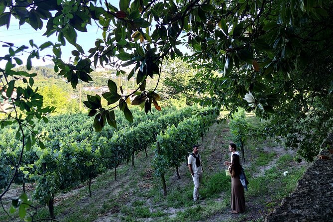 Guimarães & Braga Port Private Tour with Lunch and Green Wine - FAQ