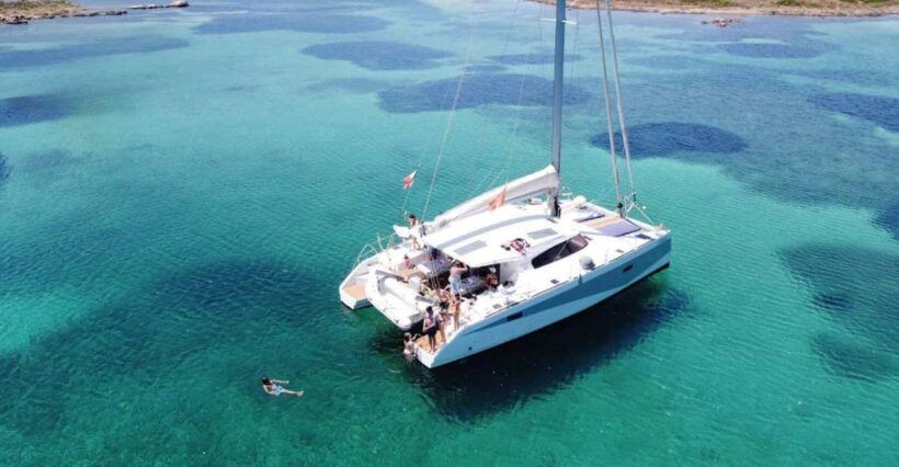 Gulf of Asinara: Full day catamaran excursion with lunch - What to Expect as a Traveler