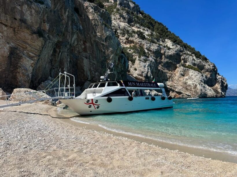 Gulf of Orosei: Grotta del Bue Marino & Cala Luna Boat Tour - The Real Traveler Feedback