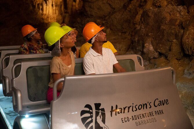 Gully Challenge Course & Cave Tour at Harrison's Cave by Chukka - Key Points